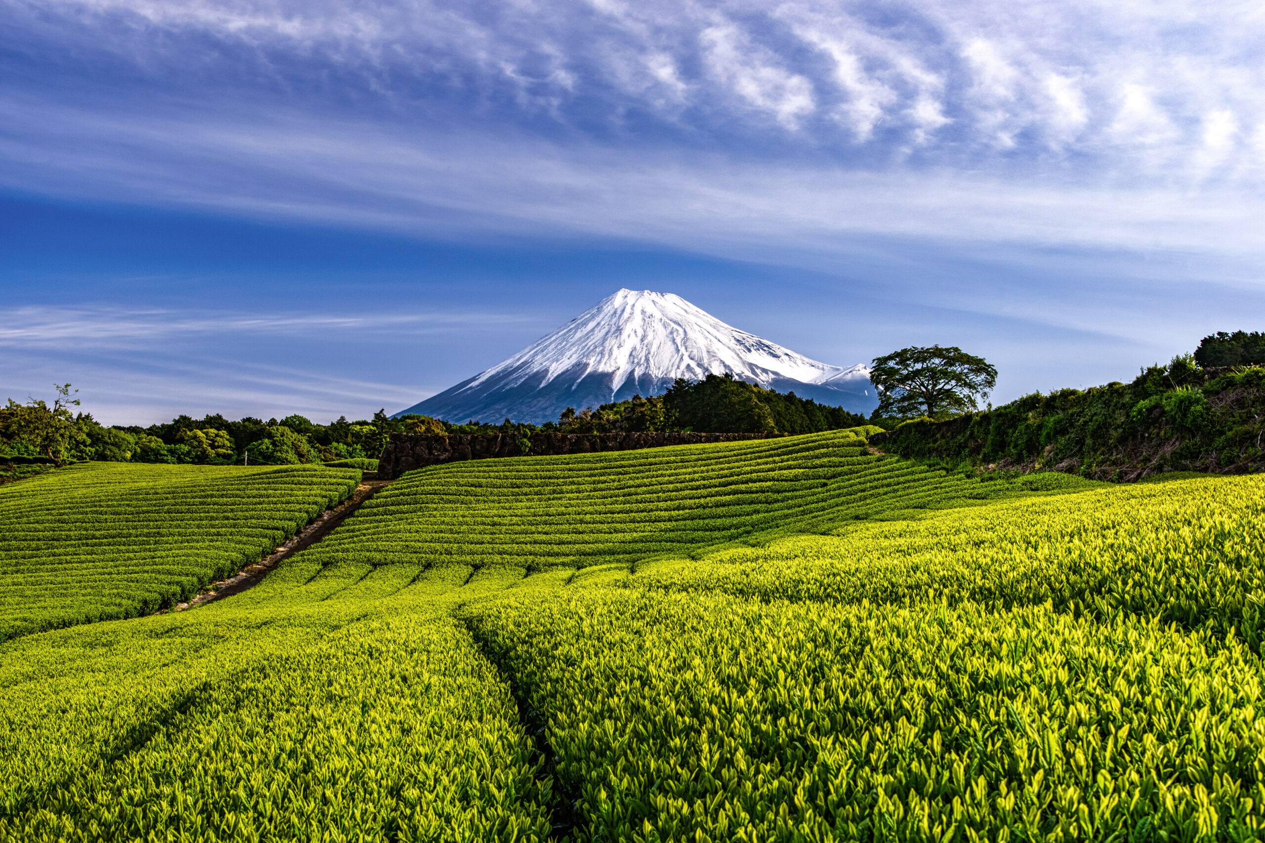 Places - Page 2 of 14 - Explore Shizuoka Activities