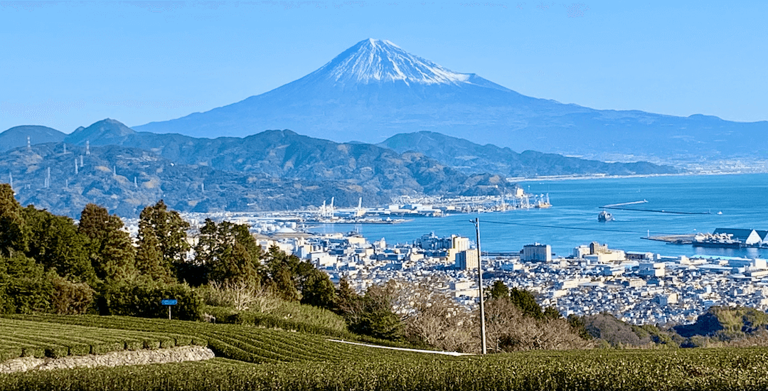 The Perfect Shizuoka Tour from Shizuoka Station - Explore Shizuoka ...