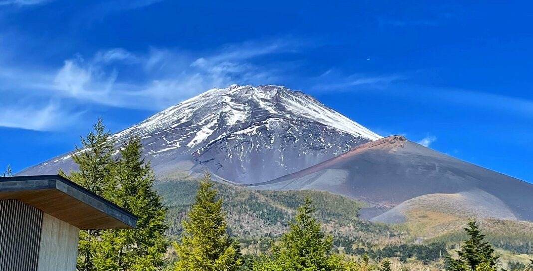 Mt. Fuji Eco Study Walk - Explore Shizuoka Activities