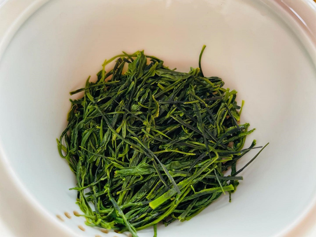 Shizuoka Tea with... - Explore Shizuoka Activities