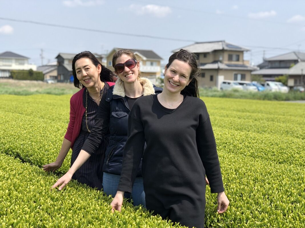 Tea Plantation Tour & Traditional Tea Tasting Game - Explore Shizuoka