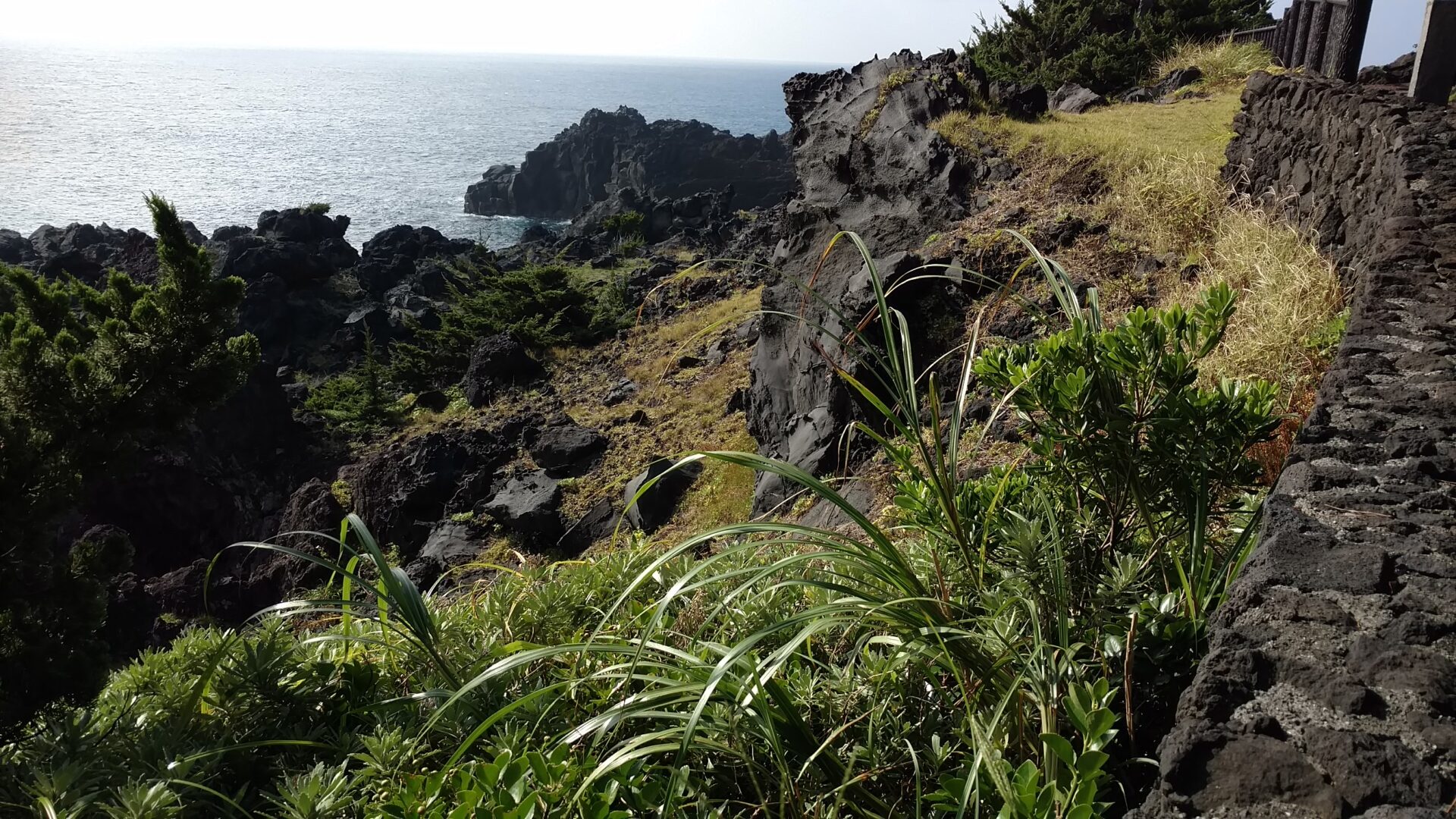 Jogasaki Coast Walking Tour - Explore Shizuoka Activities