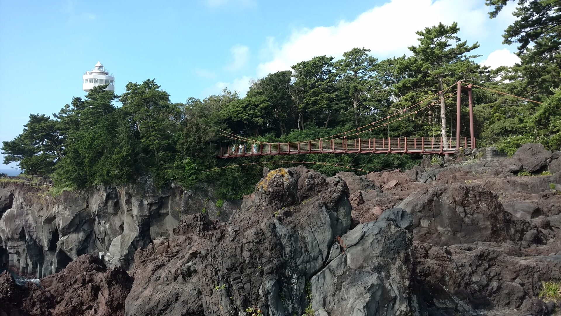 Jogasaki Coast Walking Tour - Explore Shizuoka Activities