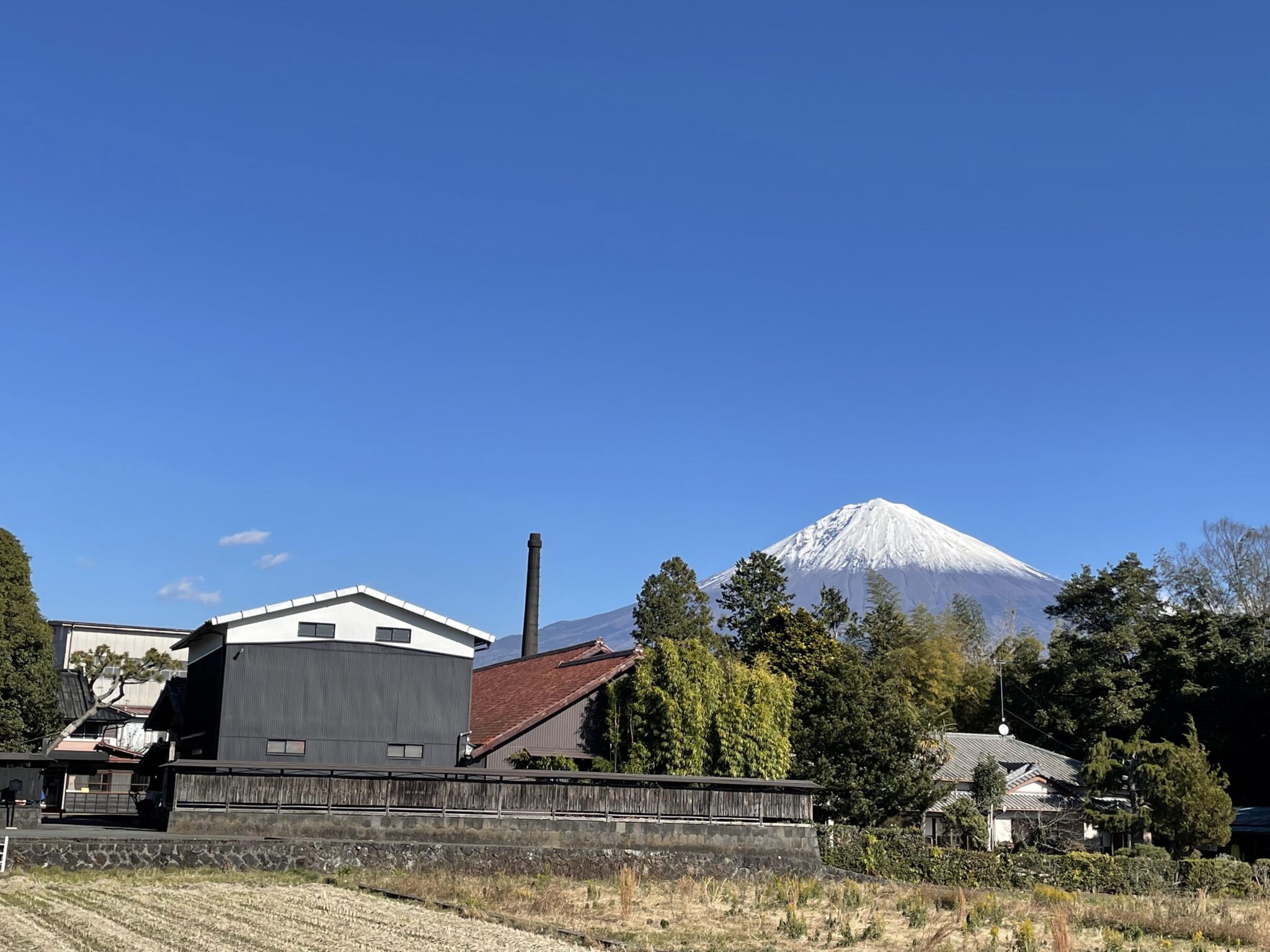Sake Study and Sake Pairing Lunch with Sake Master - Explore Shizuoka ...