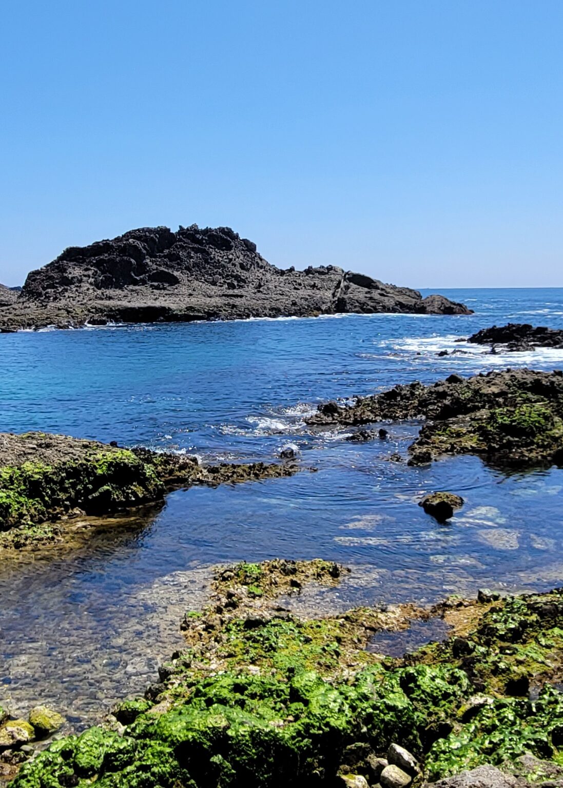 [IS-1]Walk around the Historic Port Town / Shimoda - Explore Shizuoka ...
