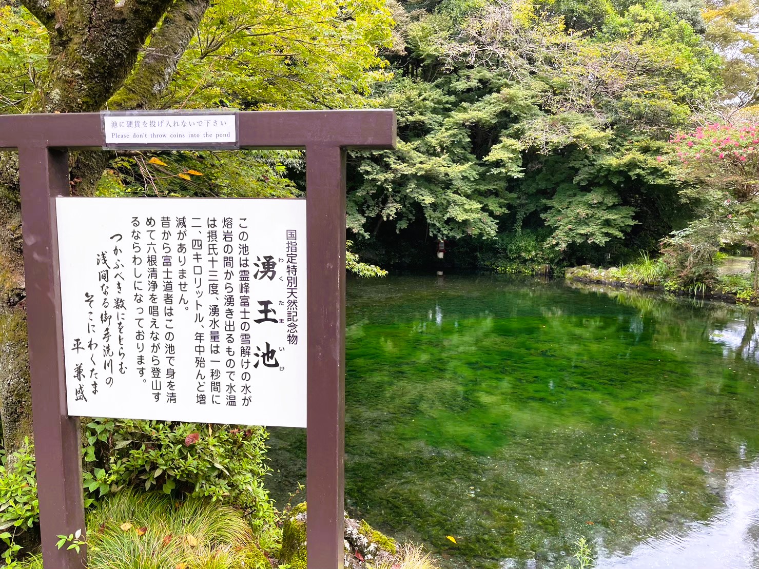 Feel Mt.Fuji and Sake tasting 1 Day Private Tour from Shin-Fuji Station ...