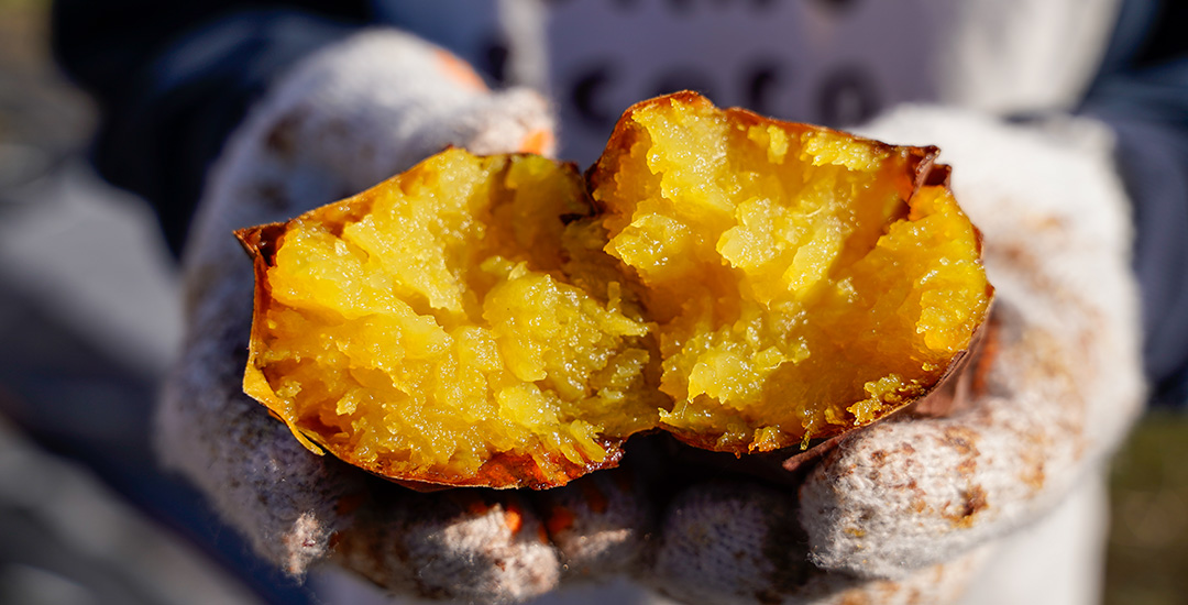 Japanese Yakiimo “Sweet potato” experience - Explore Shizuoka Activities