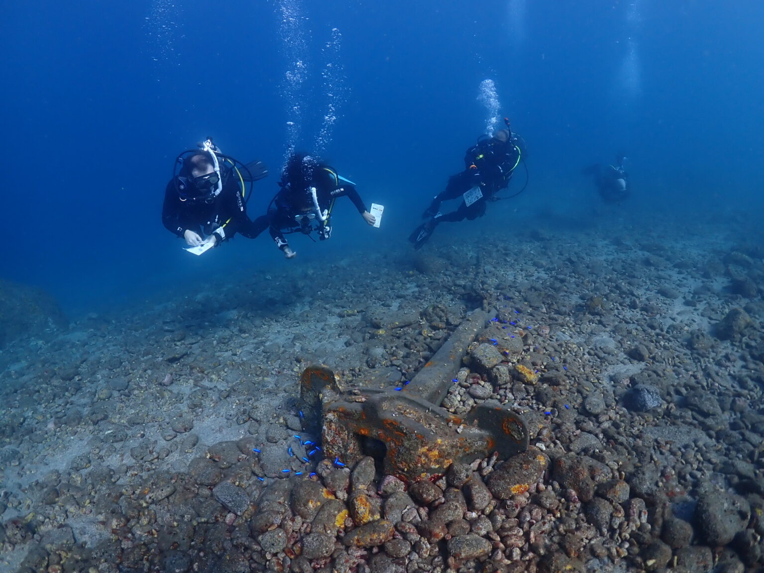 Scuba Diving in Izu Peninsula - Explore Shizuoka Activities