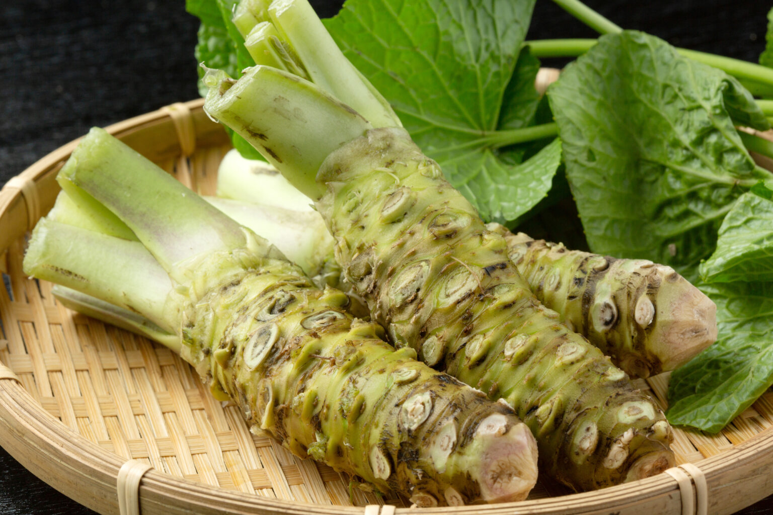 Wasabi fields and Tofu-making workshop - Explore Shizuoka Activities