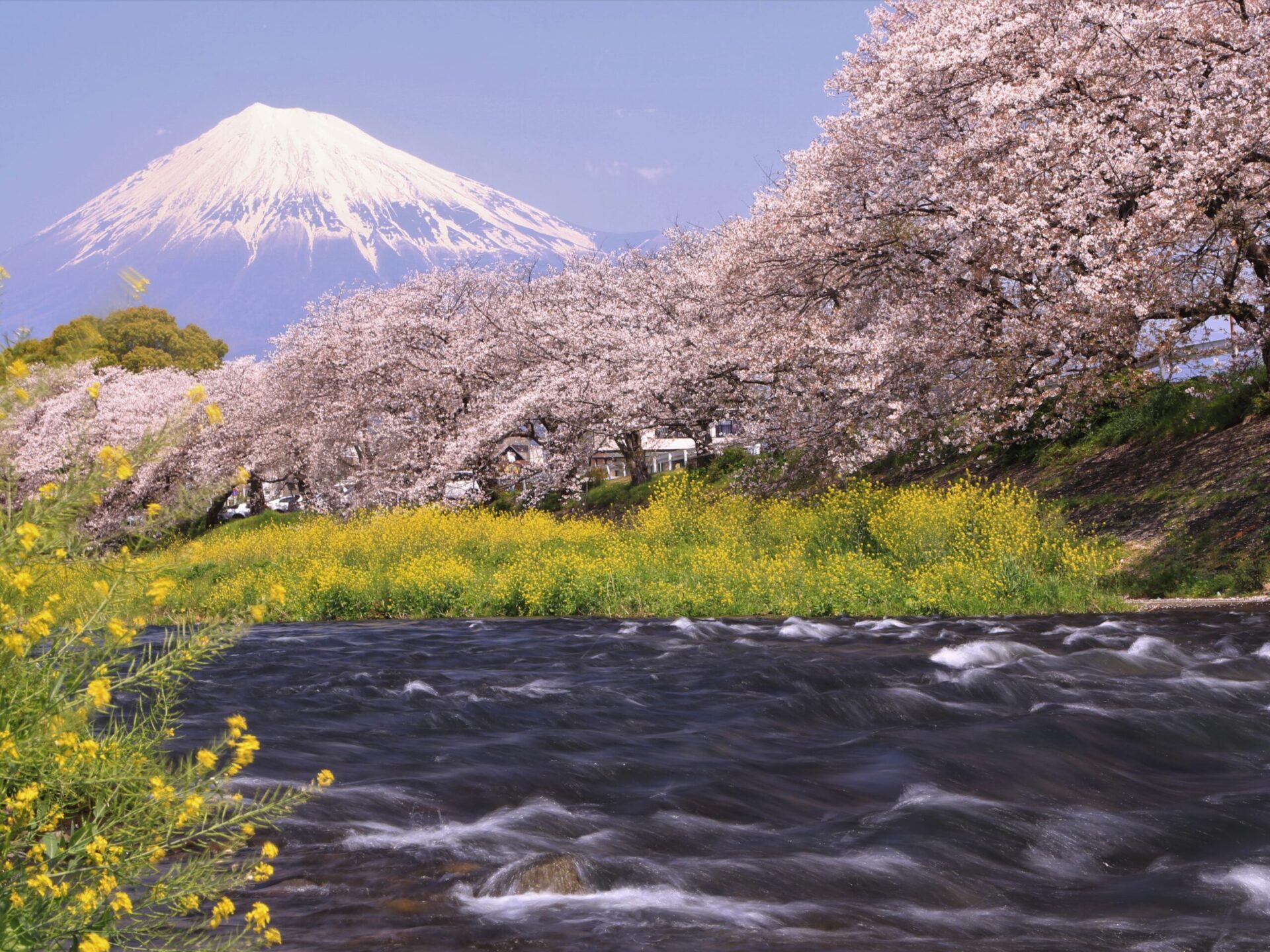 The Fuji Region - Explore Shizuoka