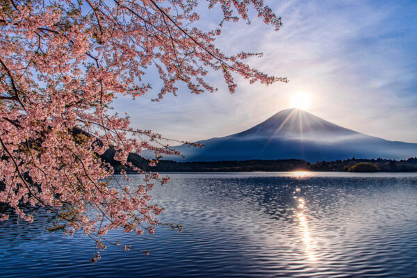10 Spots to Get Spring Views of Mt. Fuji in Shizuoka - Explore Shizuoka