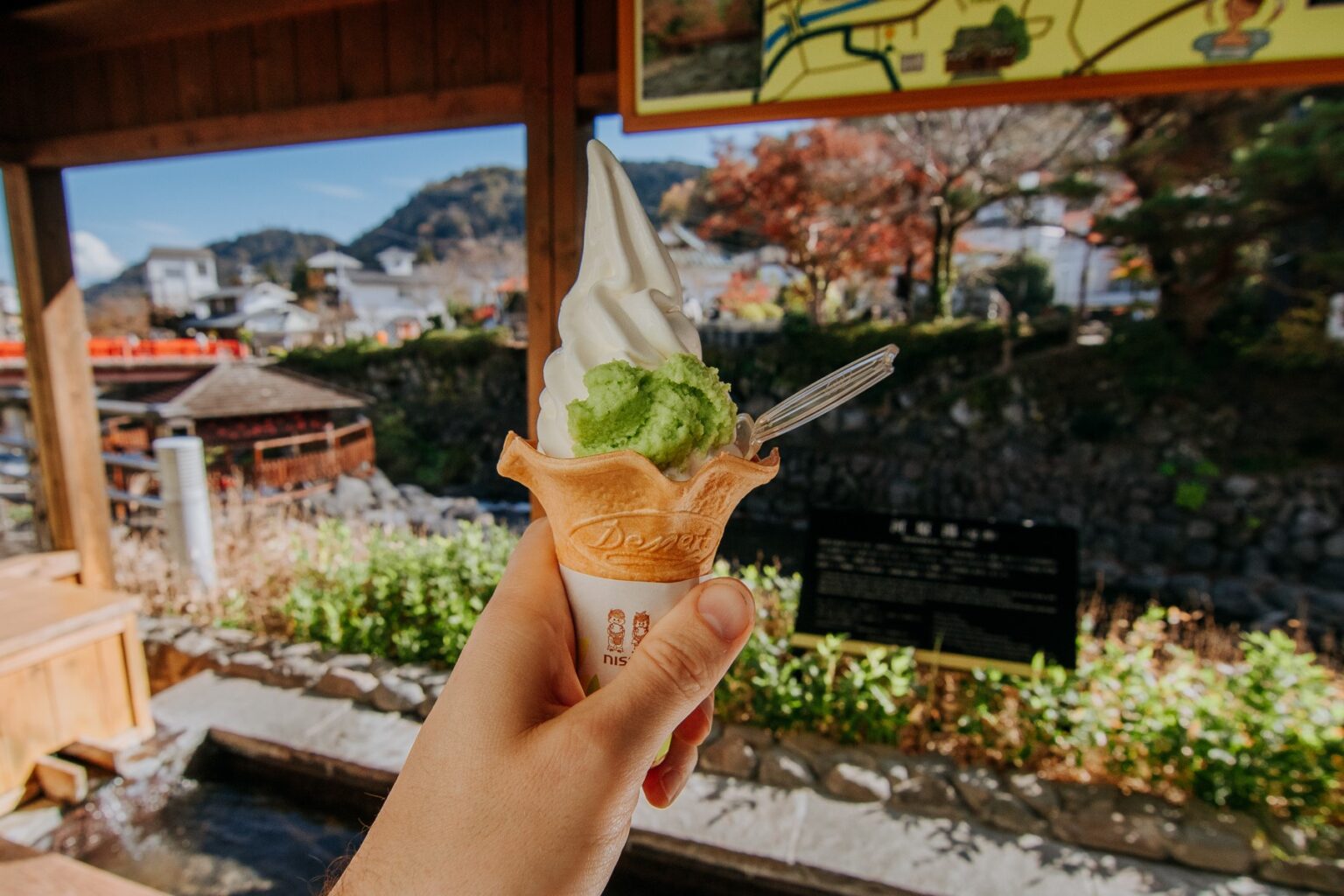 Shizuoka Wasabi - The birthplace of Wasabi cultivation - Explore Shizuoka
