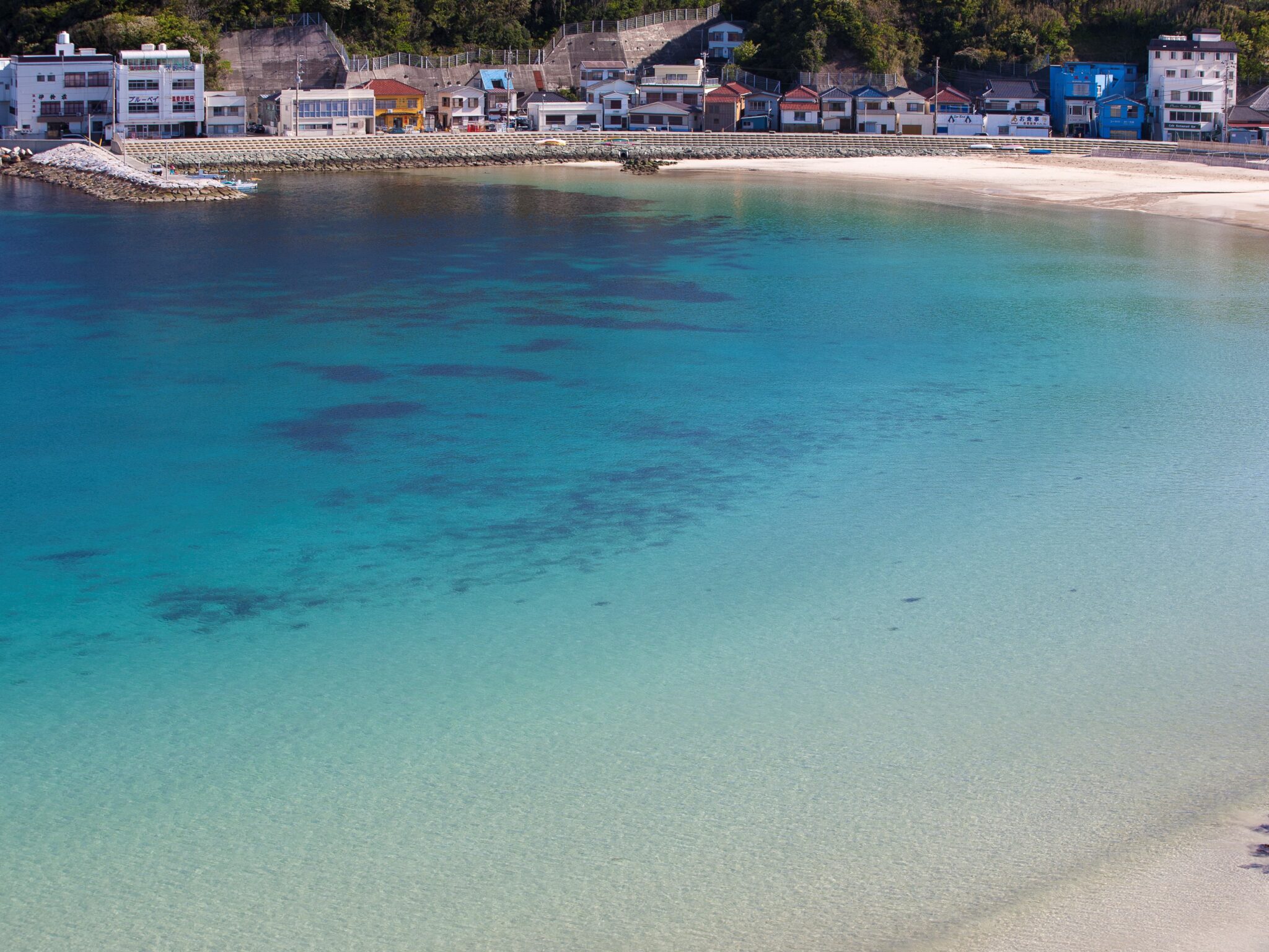 Enjoy Sea Kayaking & Snorkeling in Beautiful Shimoda - Explore Shizuoka