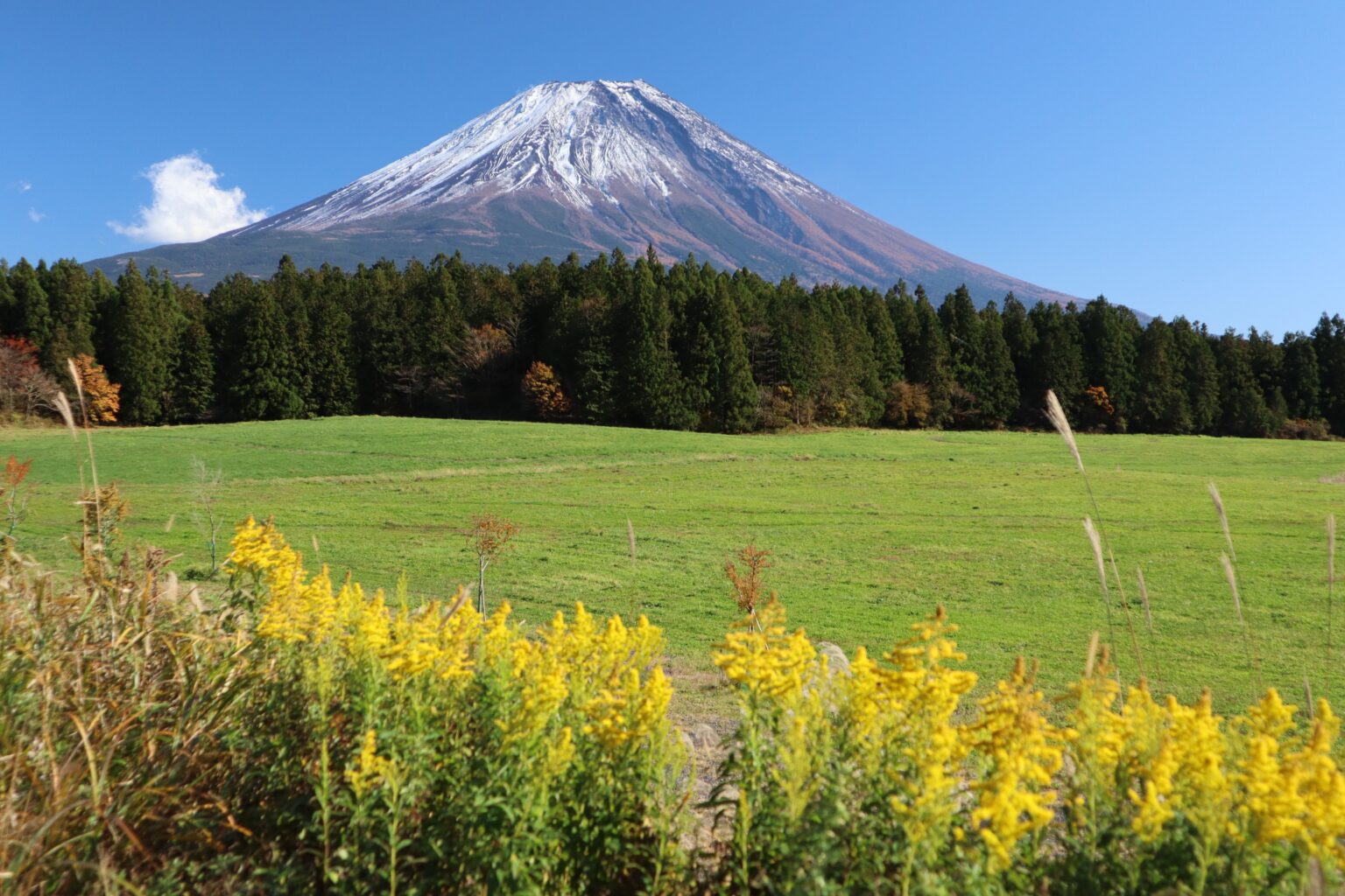 5 Awesome Autumn Views of Mt. Fuji in Shizuoka - Explore Shizuoka