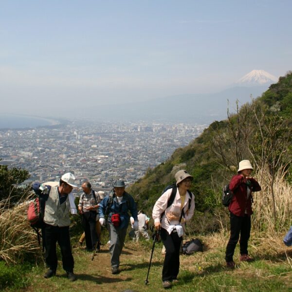 Numazu – a port city between Mt. Fuji and Suruga Bay - Explore Shizuoka