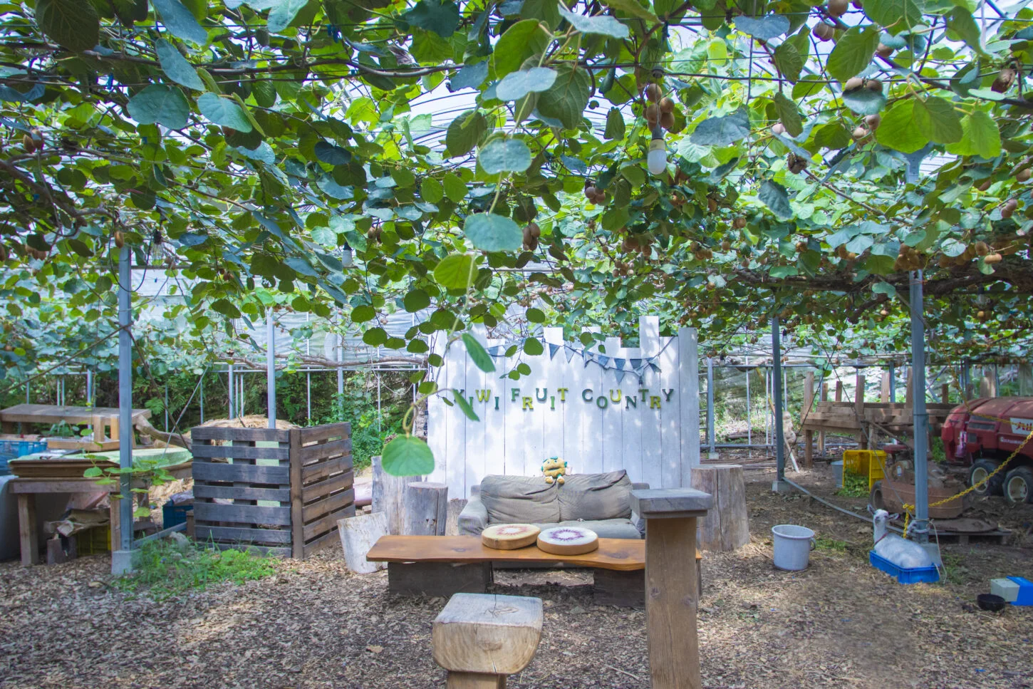 Satisfy your heart and your stomach at Kiwi Fruit Country Japan, Japan ...