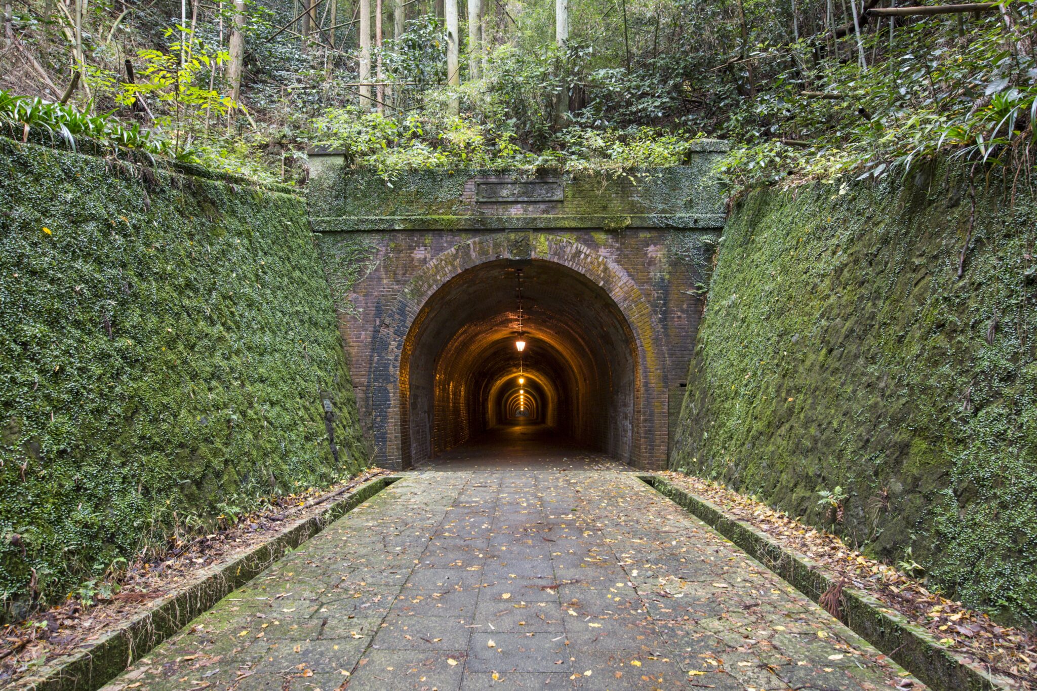 Discover the Sights of the Tokaido on a Two Day Tour of Shizuoka City ...