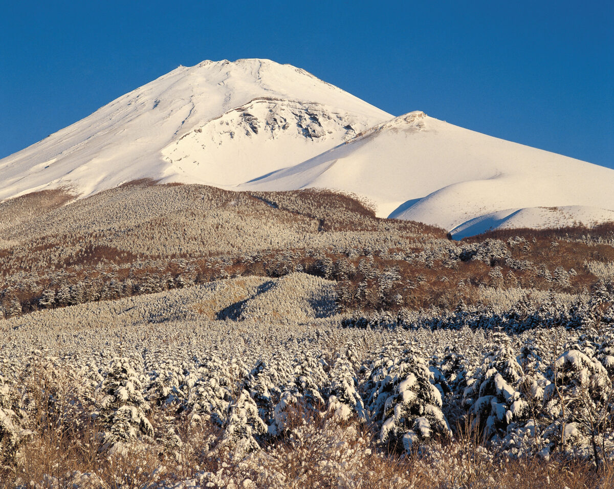 An Intimate Fuji Experience: Explore the Deep Forests Surrounding Mount ...