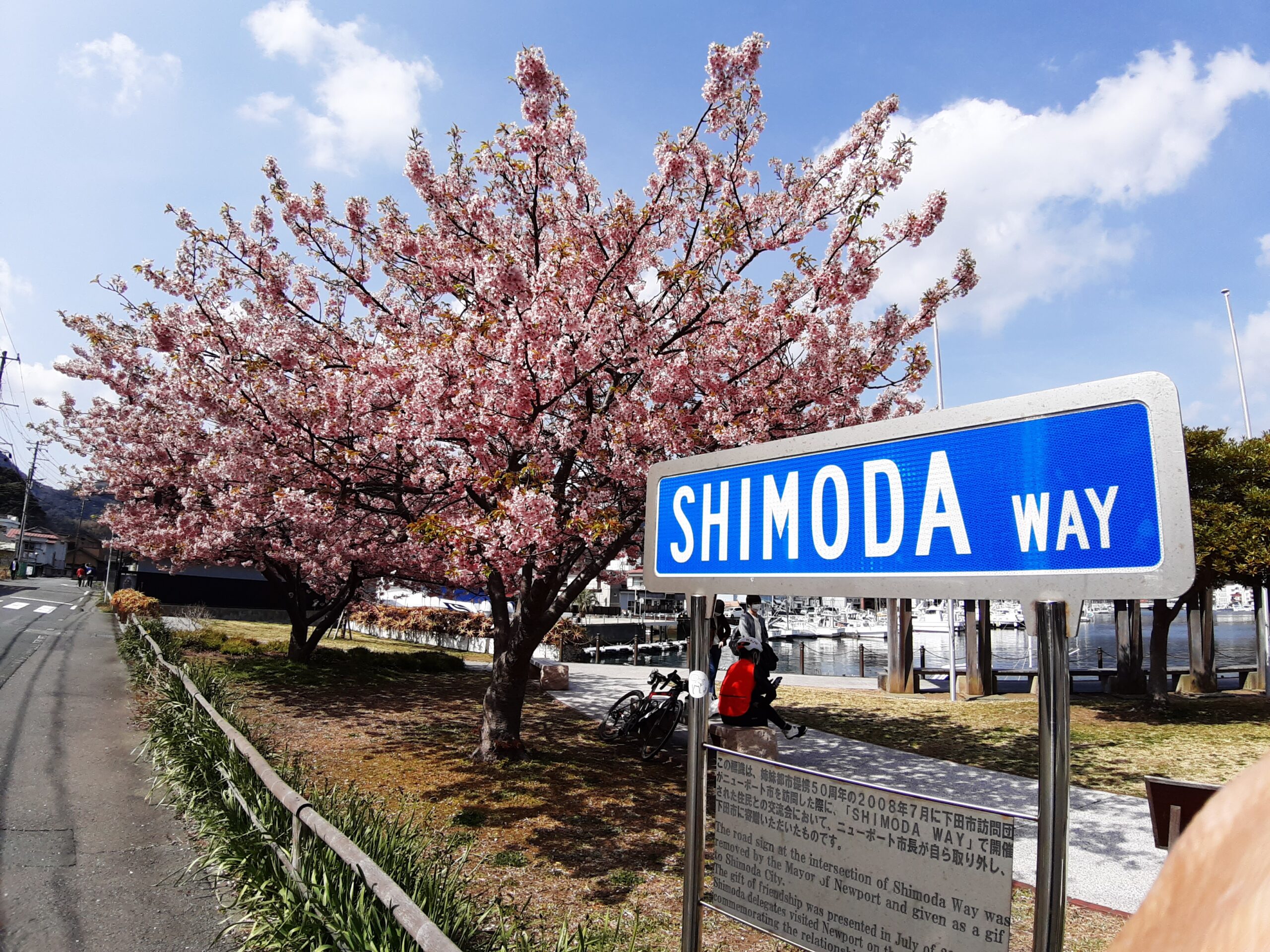Discover Shimoda on Foot, an Idyllic Town with Rich History - Explore ...