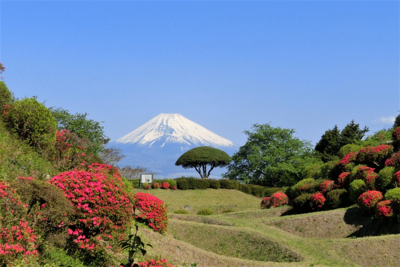 Tokaido Highway – Mishima Juku - Explore Shizuoka