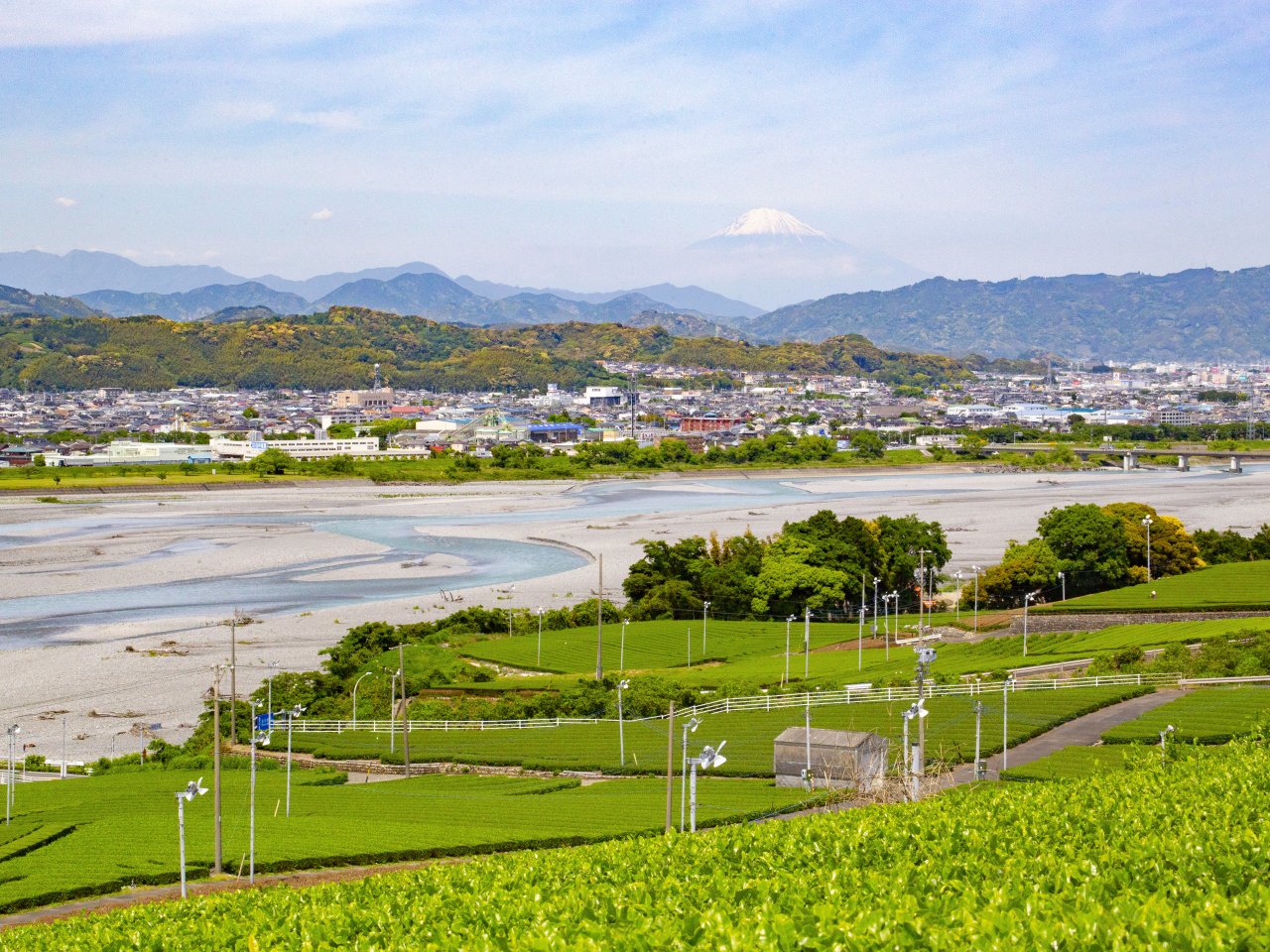 Last Shogun - Explore Shizuoka