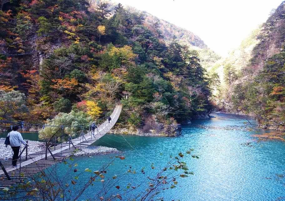Discover Hidden Gems in the Alps - Explore Shizuoka