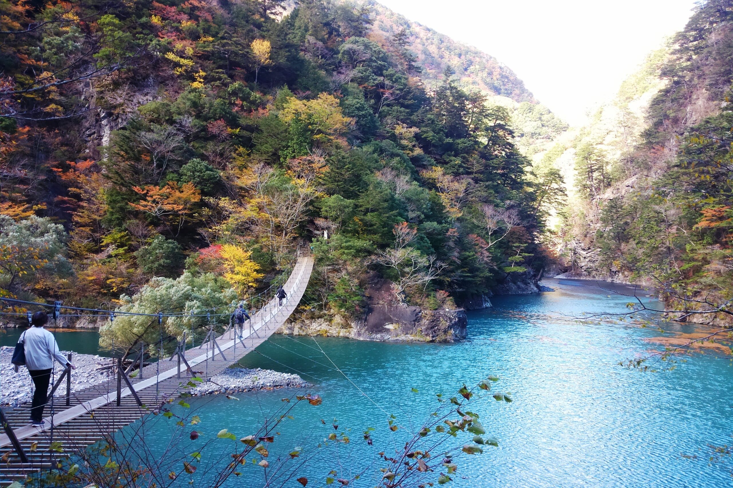 Bridge of Dreams - Explore Shizuoka